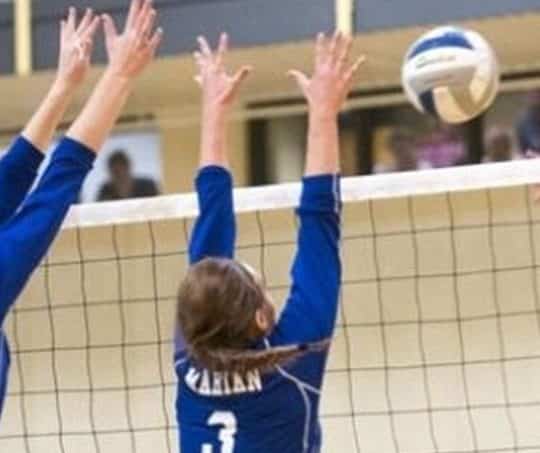 Sarah Wing - Prep Dig