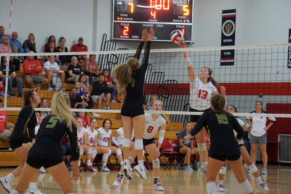 Alyssa Hall - Prep Dig