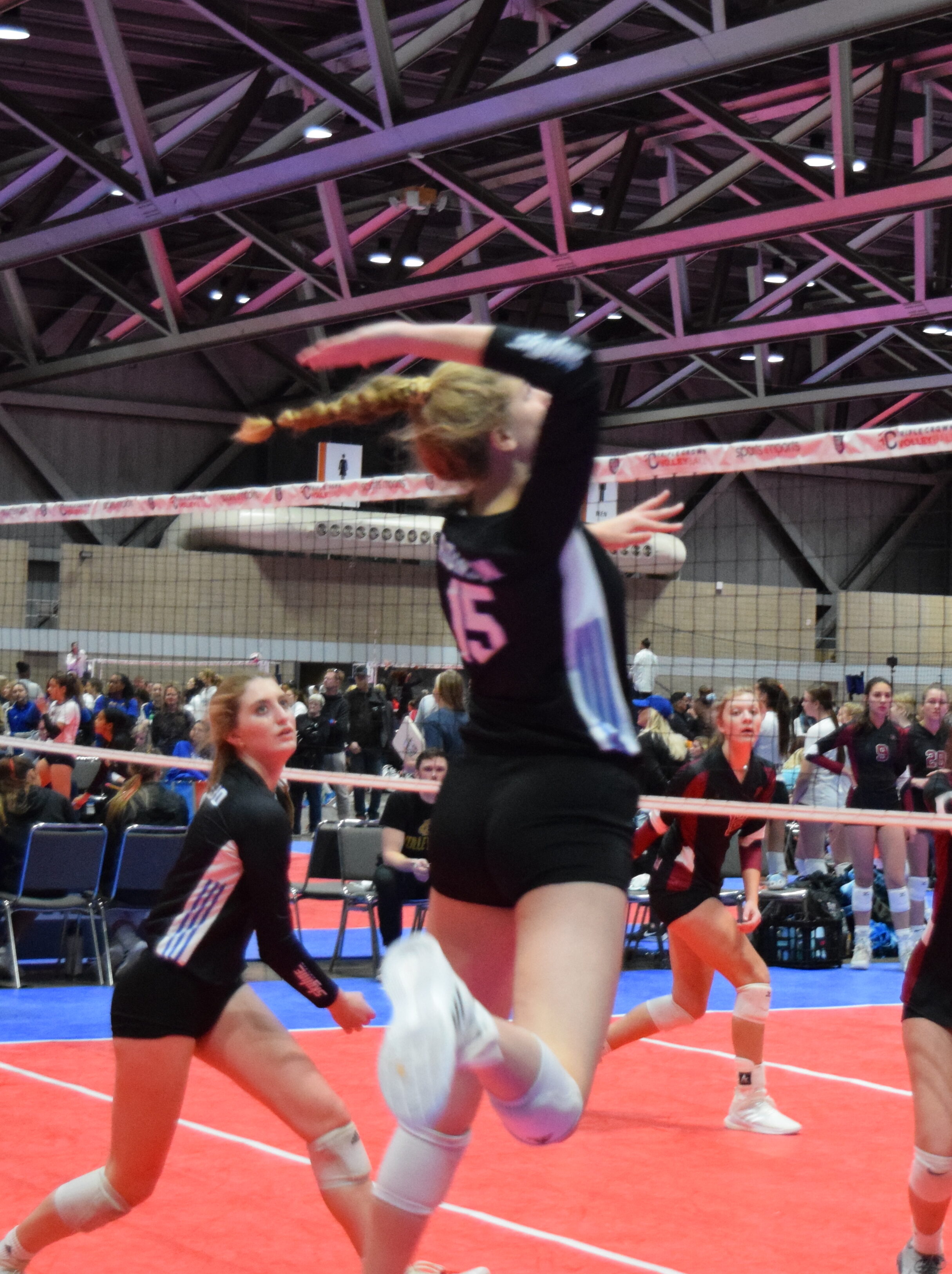 Amelia Robinson - Prep Dig