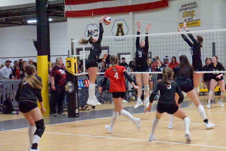 Minnesota High School Volleyball Coverage | Prep Dig