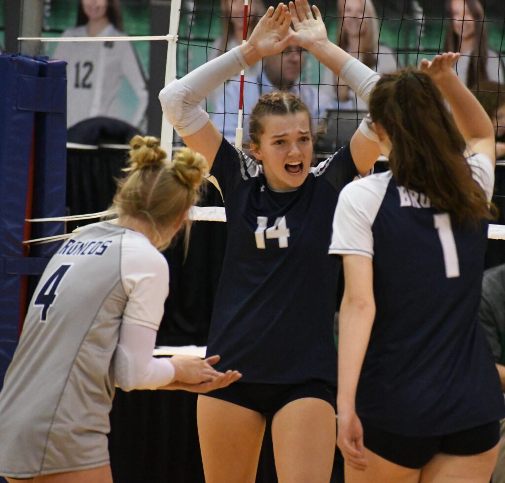 Top Teams in the Blue Water Area Conference | Prep Dig