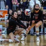 Christine Pullen - Prep Dig