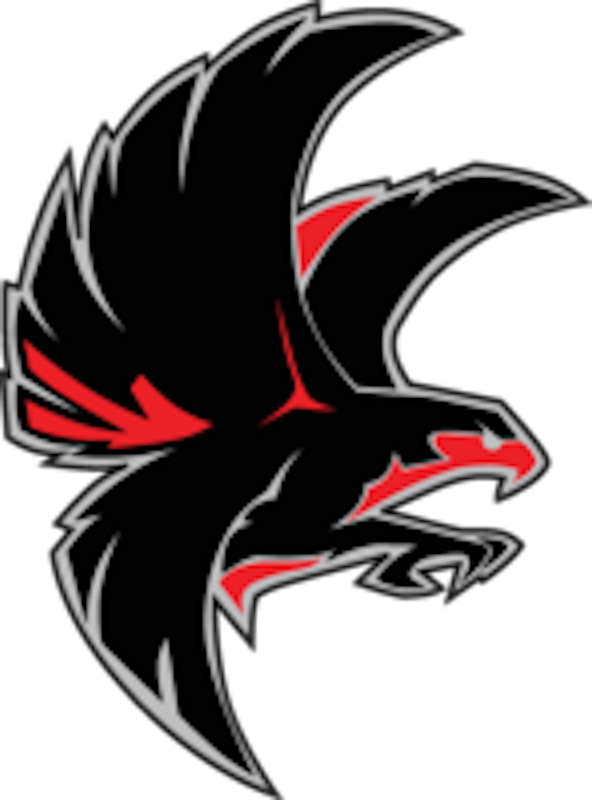 2021 Season Preview: Nation Ford Falcons - Prep Redzone