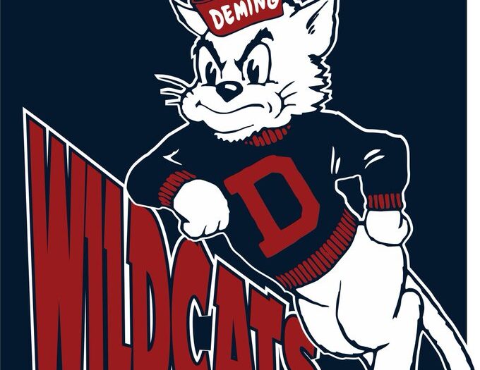 2022 Team Preview: Deming Wildcats - Prep Redzone